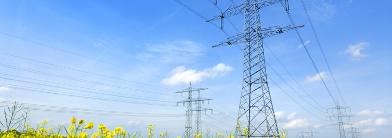 The Electric Distribution System – Dominion Energy